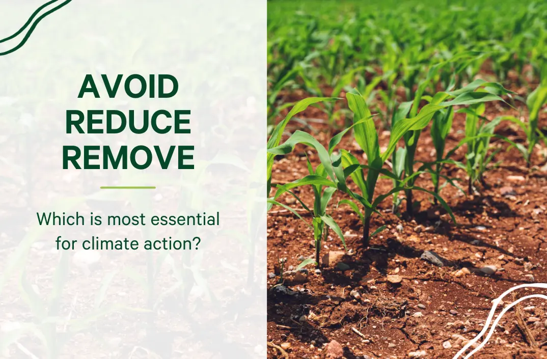Carbon Mitigation, Sequestration and Avoidance | Regrow Ag
